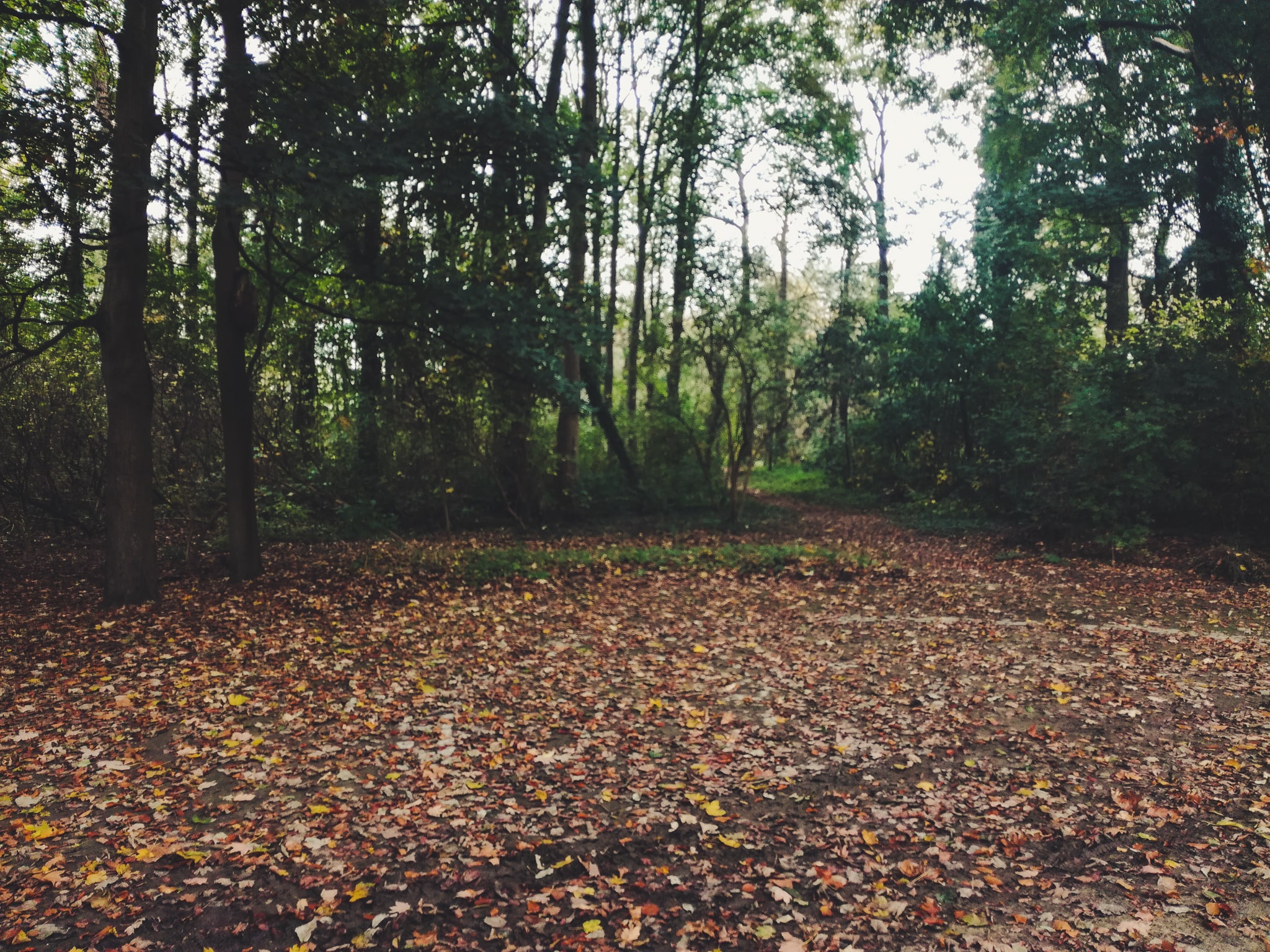 Kasteelpark Lembeek | Stad Halle